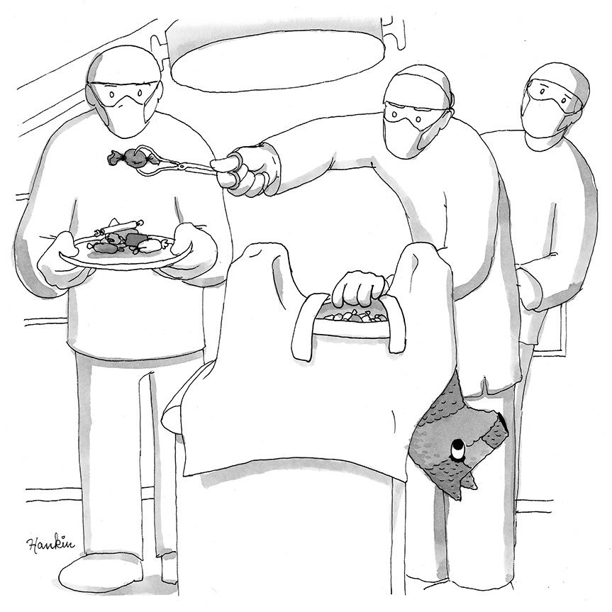 Gallery of Cartoons by Charlie Hankin From USA - Irancartoon