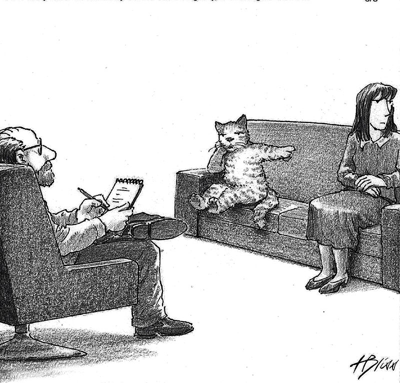 Gallery of Cartoons by Harry Bliss From USA - Irancartoon